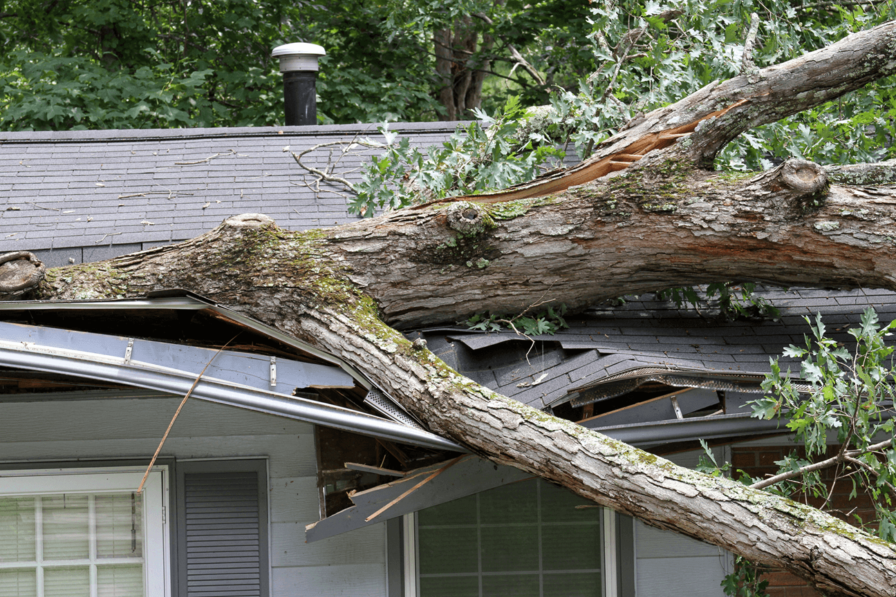 Repair or Replace? How to Know What Your Roof Needs – One Source ...